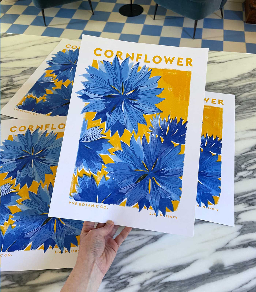 Cornflower A3 Botanical Riso Print – National Park Print Shop