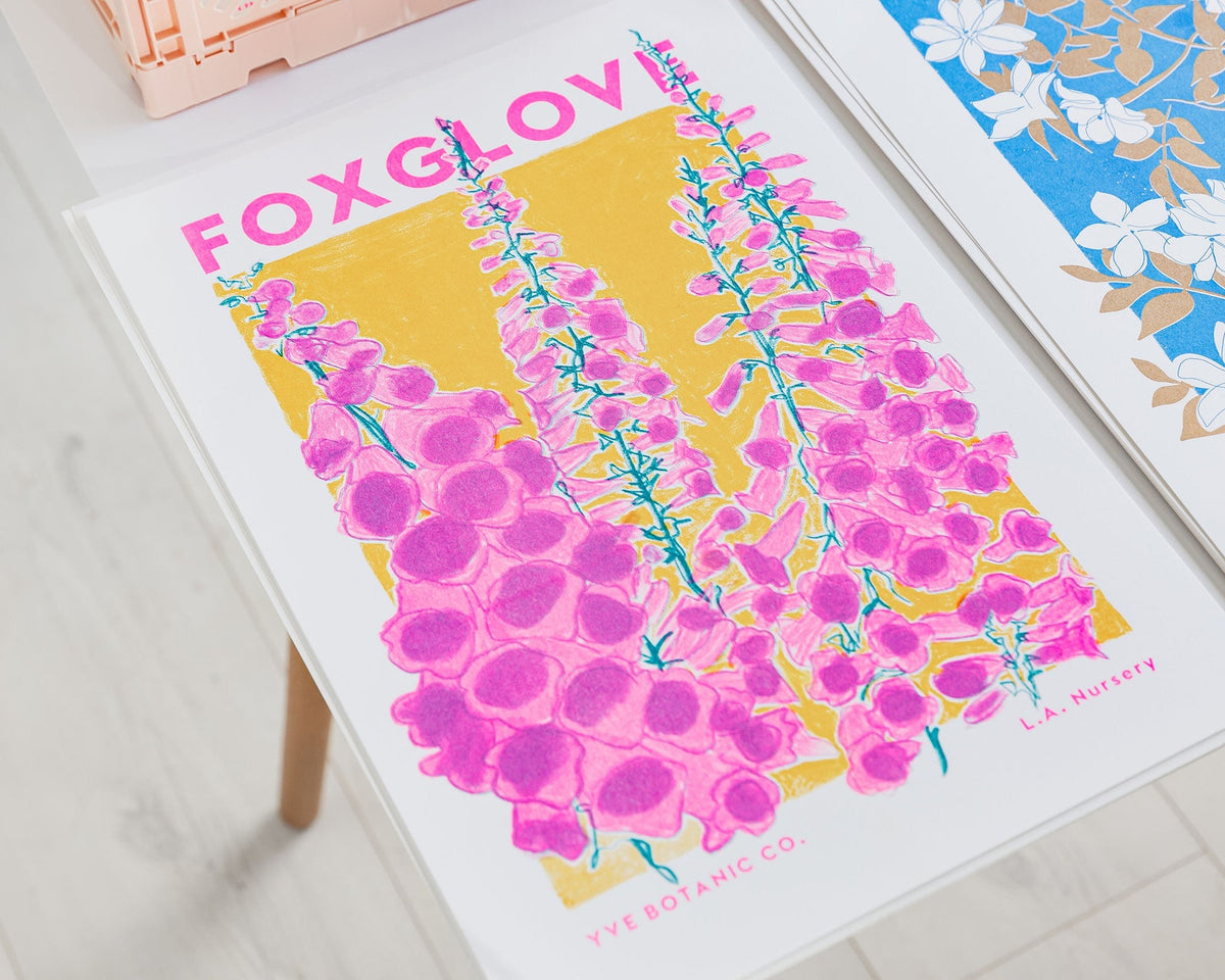 Cornflower A3 Botanical Riso Print – National Park Print Shop