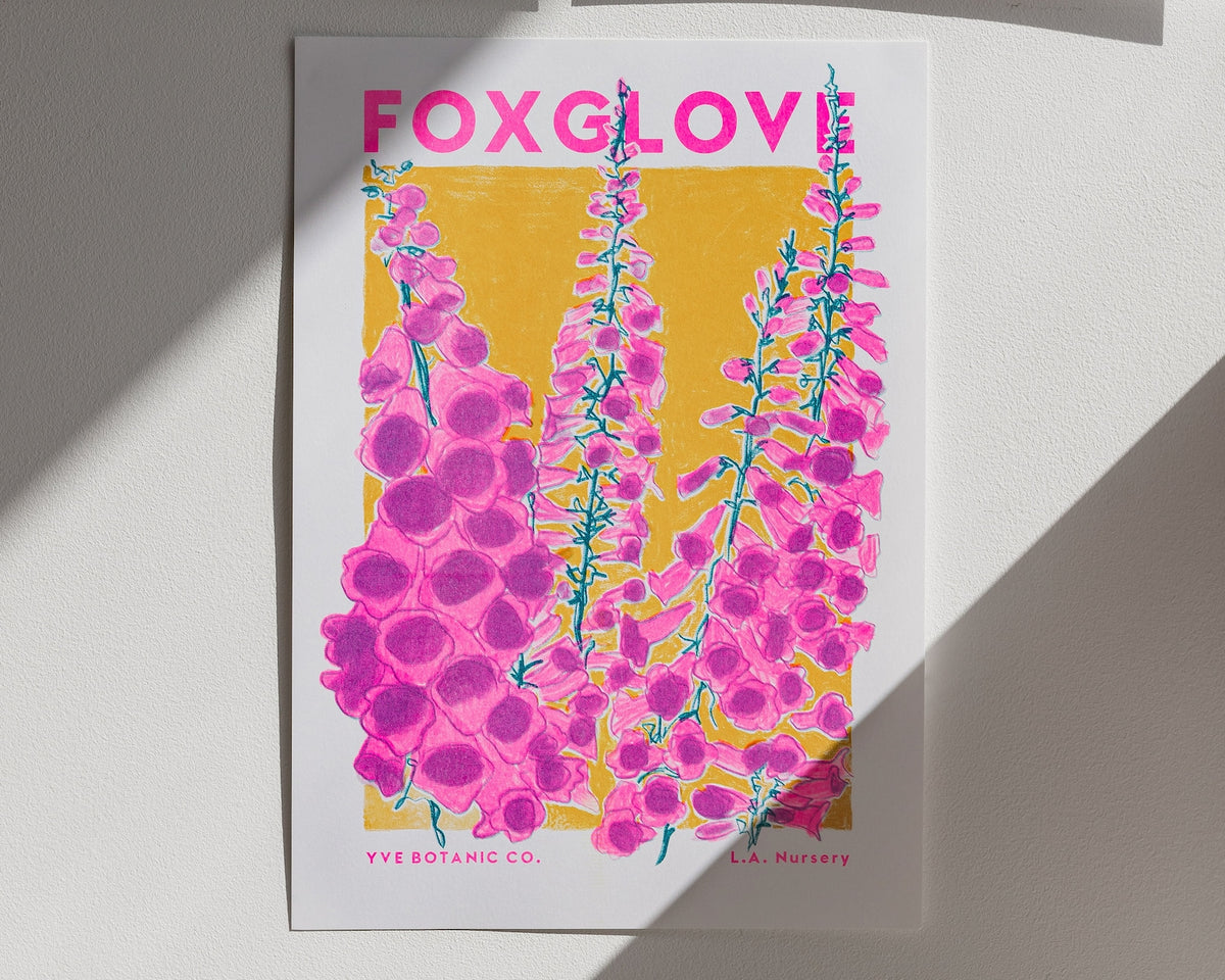 Cornflower A3 Botanical Riso Print – National Park Print Shop