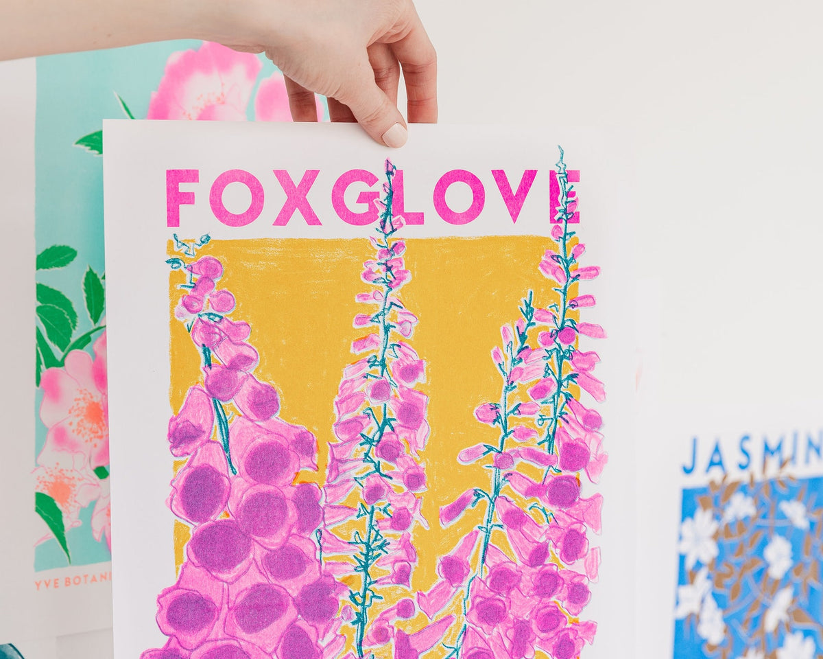 Cornflower A3 Botanical Riso Print – National Park Print Shop