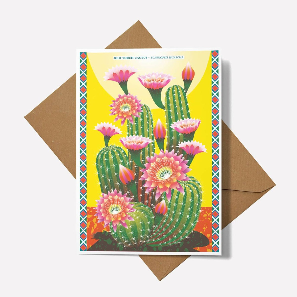 Cactus Greeting Card – National Park Print Shop