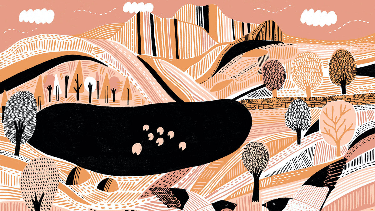 Kate Sutton - Lake District Illustrator – National Park Print Shop