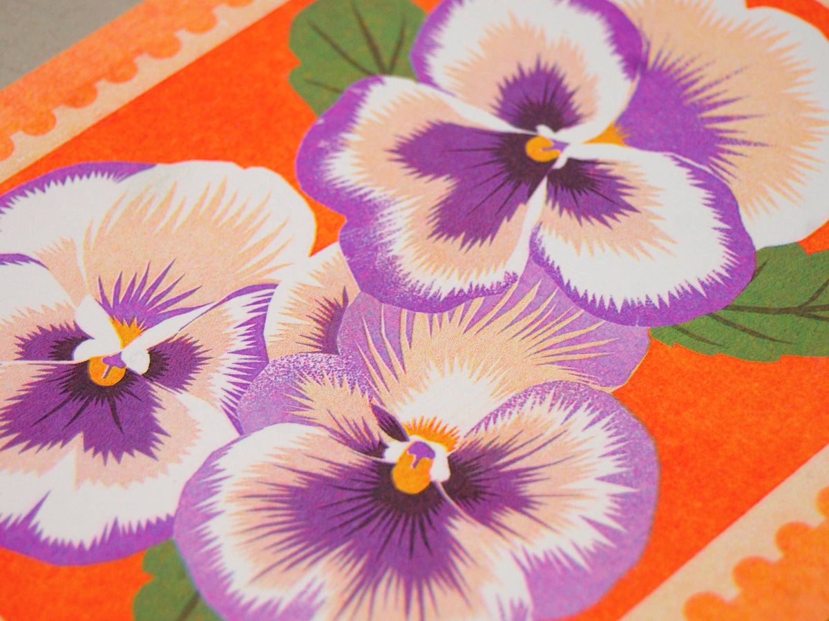 Pansy Mini-Print – National Park Print Shop