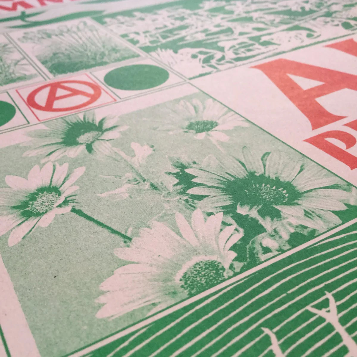 All Things in Common, All People Riso Print – National Park Print Shop