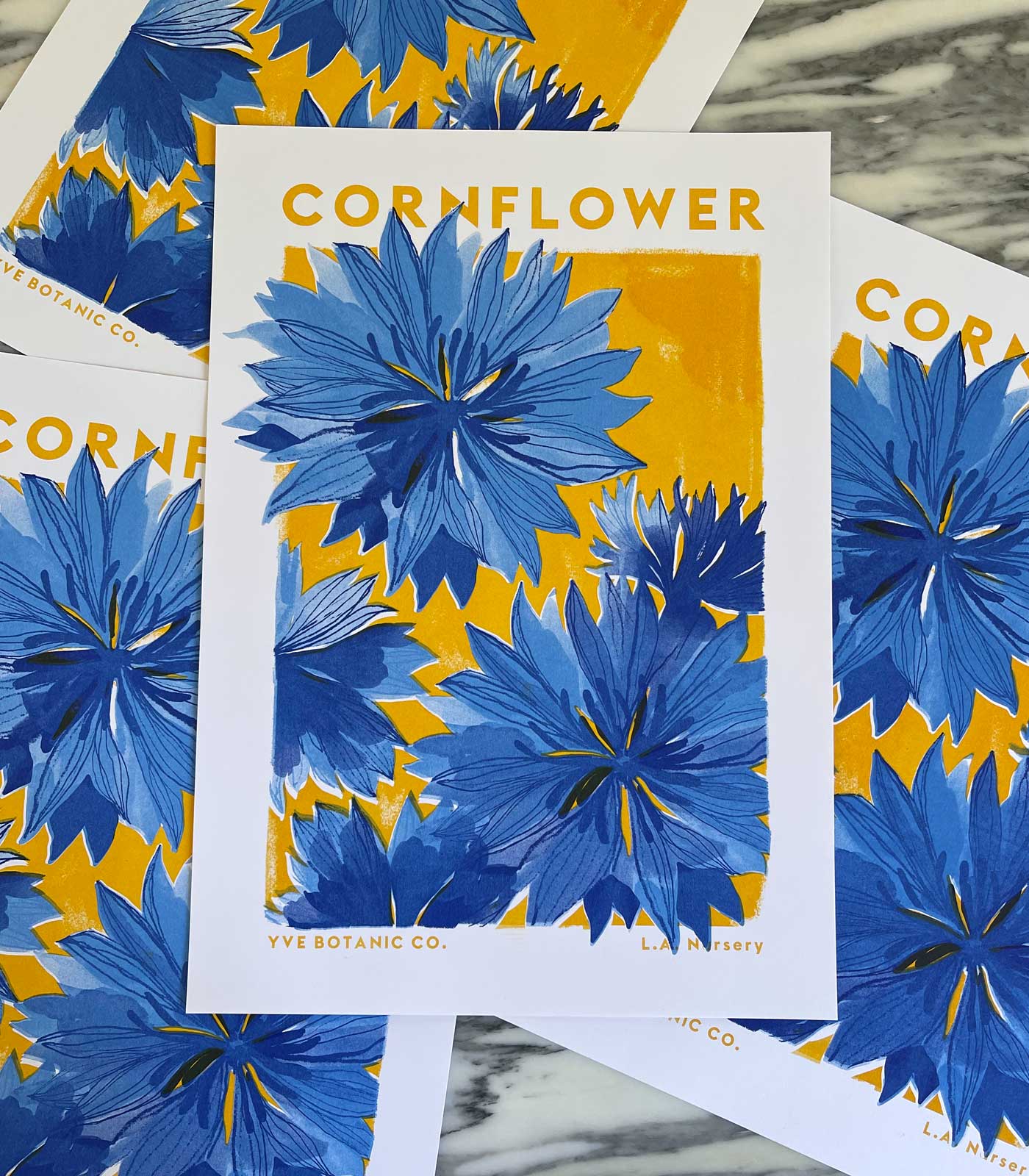 Cornflower A3 Botanical Riso Print – National Park Print Shop