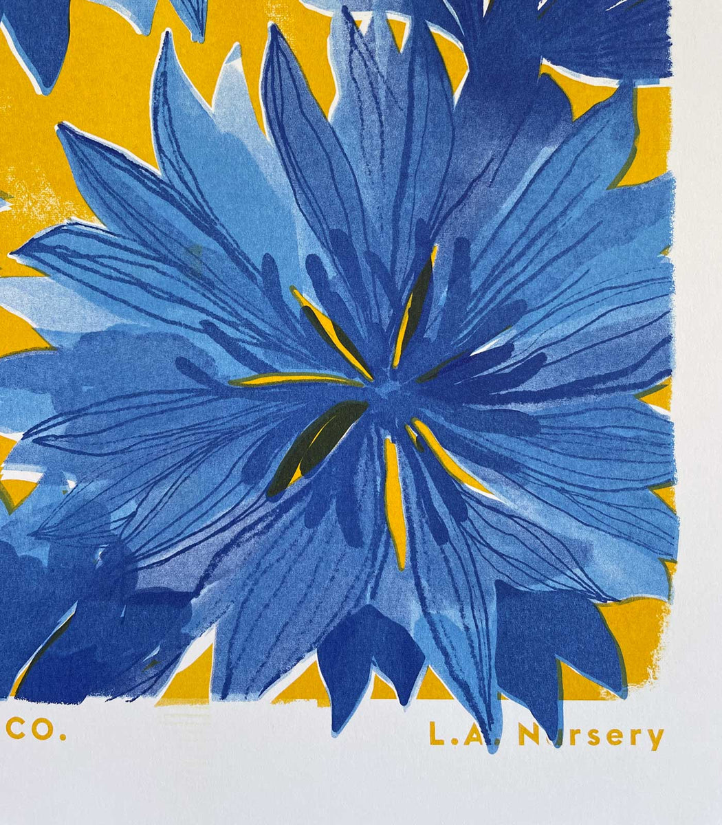 Cornflower A3 Botanical Riso Print – National Park Print Shop