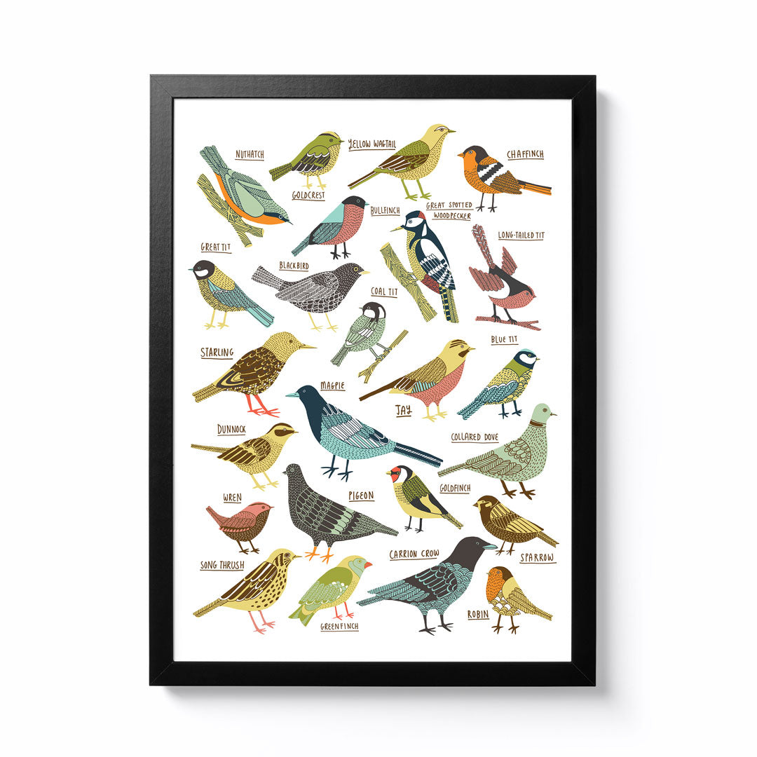 Birds of Britain – National Park Print Shop