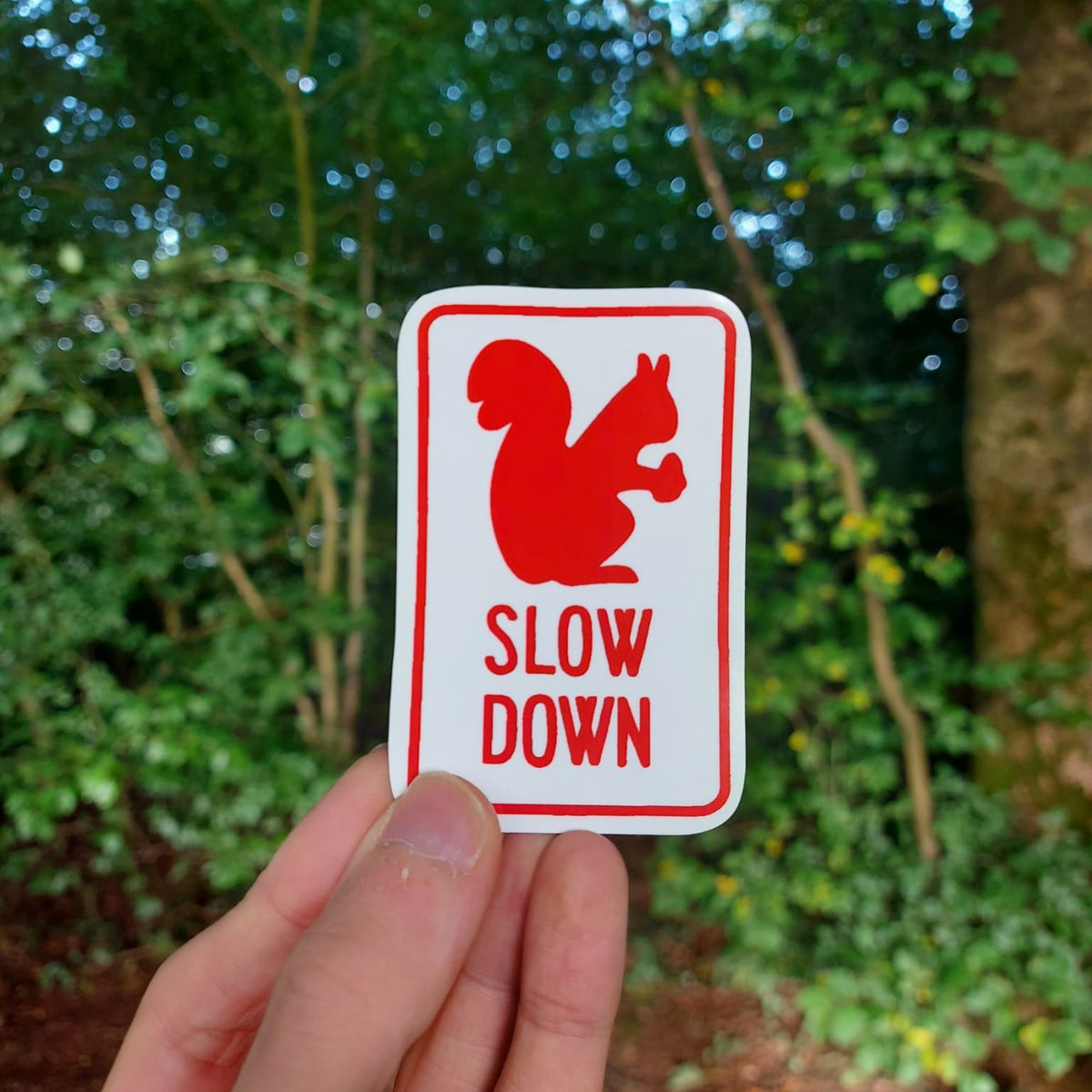 Slow Down Squirrel Sticker – National Park Print Shop