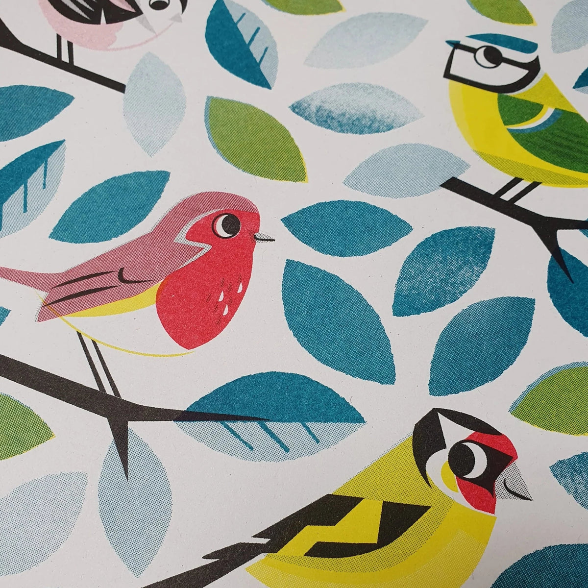 Garden Birds Riso Print – National Park Print Shop