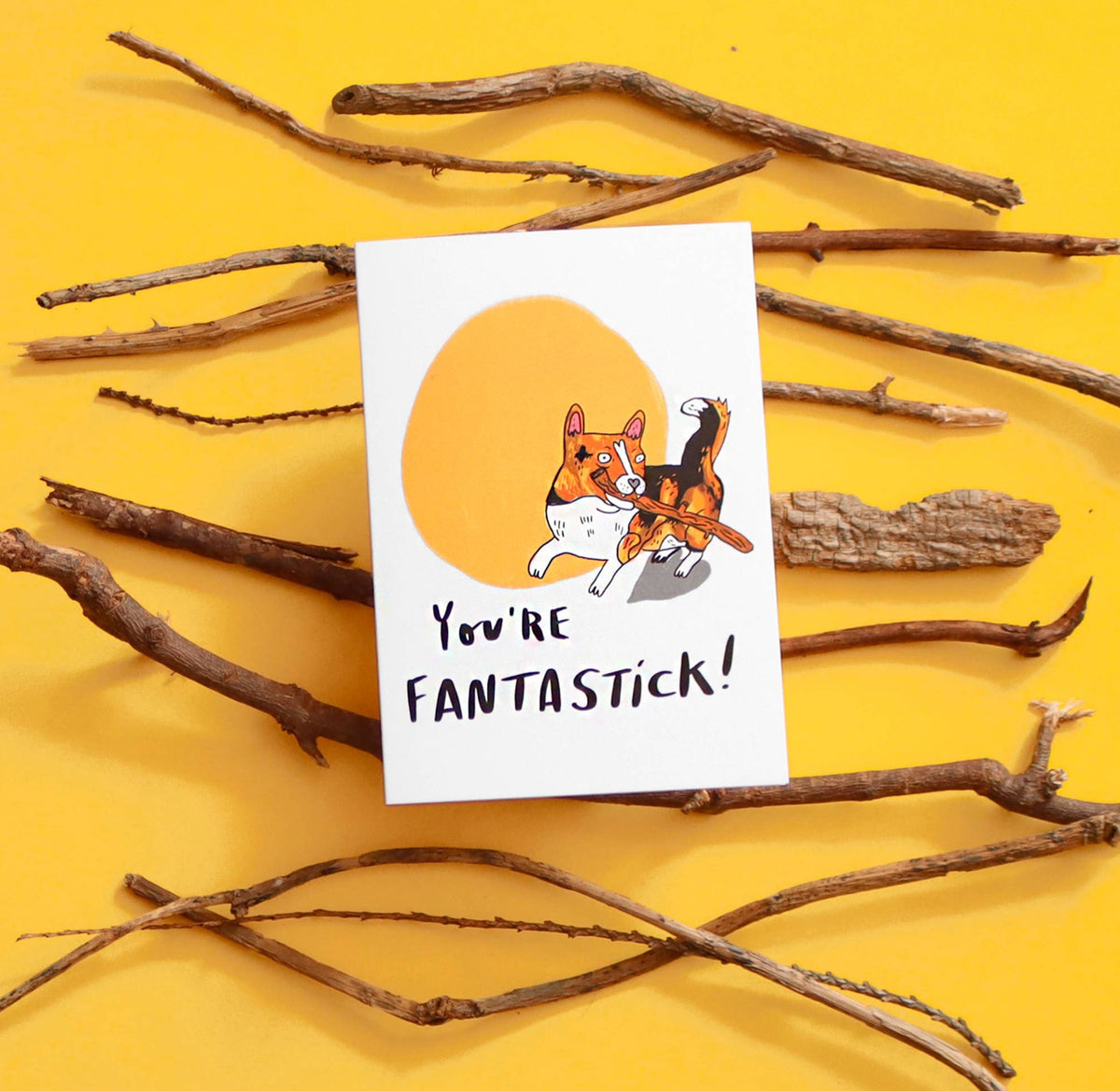 You're FantaSTICK! Corgi · Card – National Park Print Shop