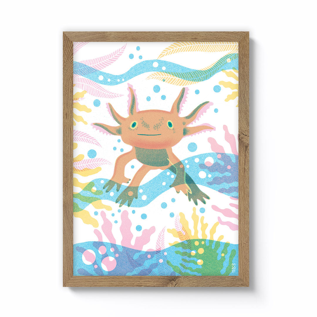 Axolotl – National Park Print Shop