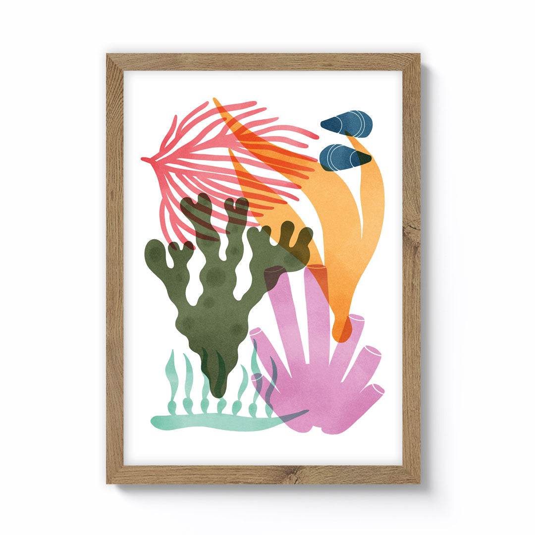 Seaweed – National Park Print Shop
