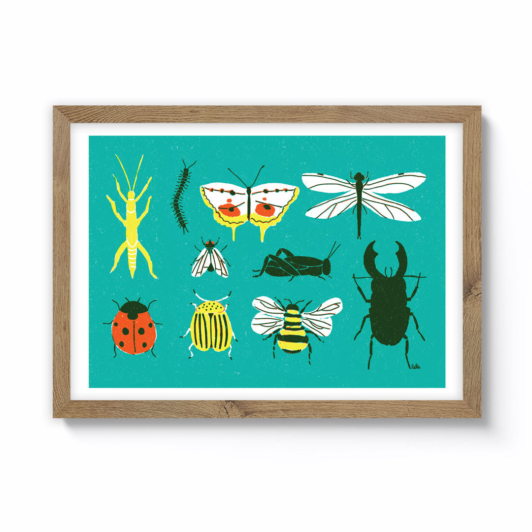 Bugs – National Park Print Shop