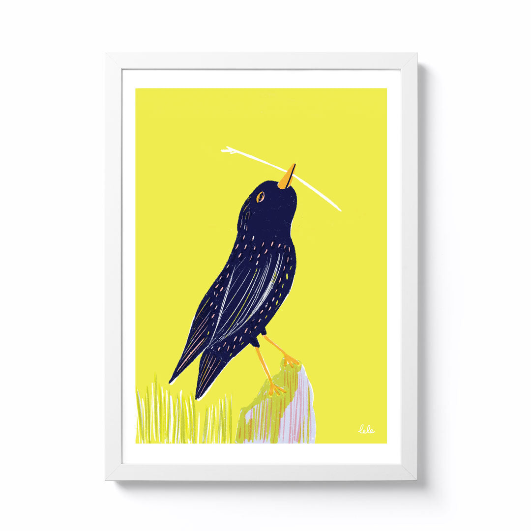 Starling – National Park Print Shop