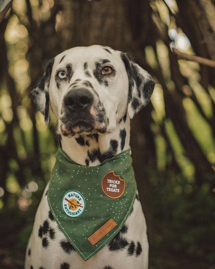 Nature Enthusiast Patch – National Park Print Shop