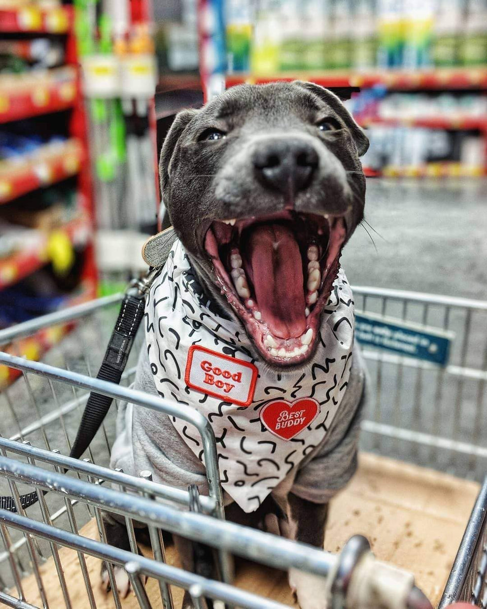 Good Boy Patch – National Park Print Shop