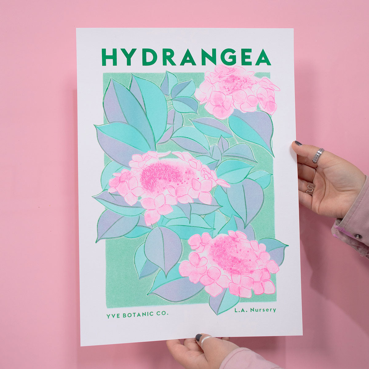 Hydrangea Riso Print – National Park Print Shop